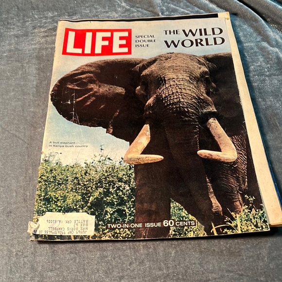 Accents | 1967 Life Magazine | Poshmark